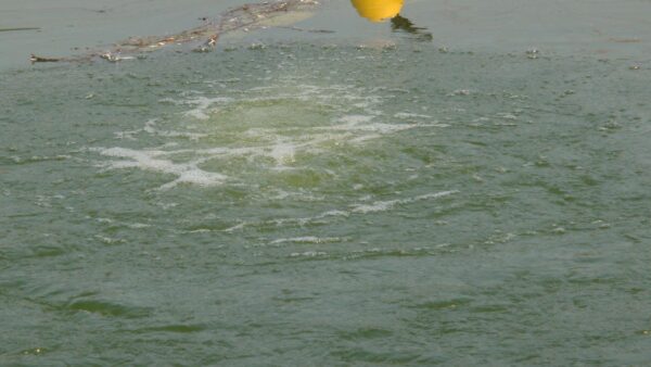 Pond Aeration System (Destratification System) – IGS Water Solutions